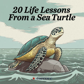 20 Life Lessons from a Sea Turtle: Dive Deep and Discover Your Inner S ...